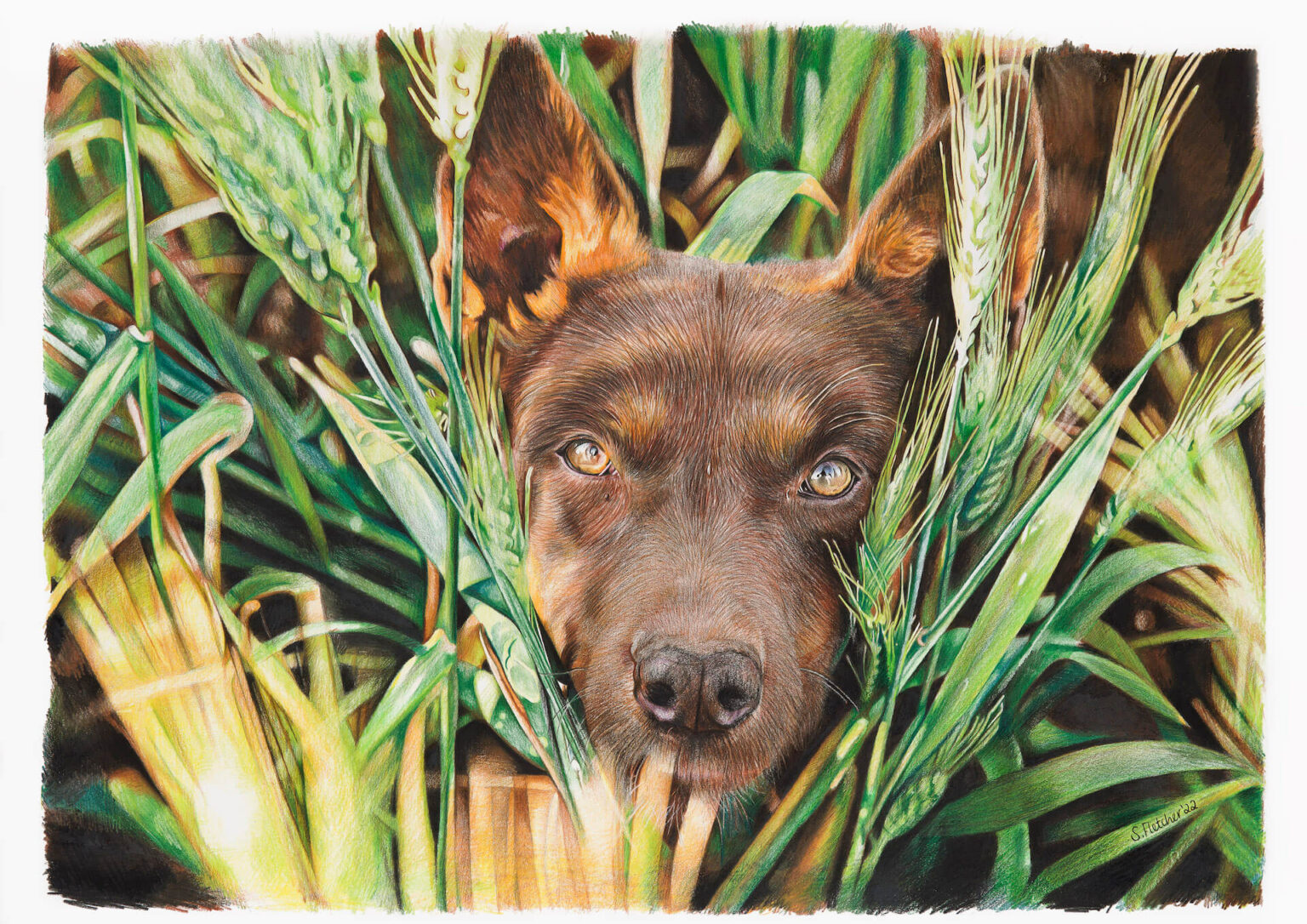 Sarah Fletcher Artist